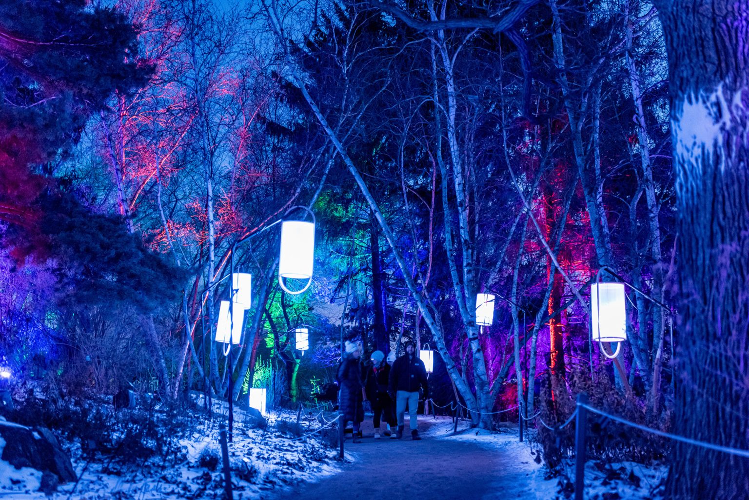 2023 Lightscape Preview - Chicago Botanic Garden