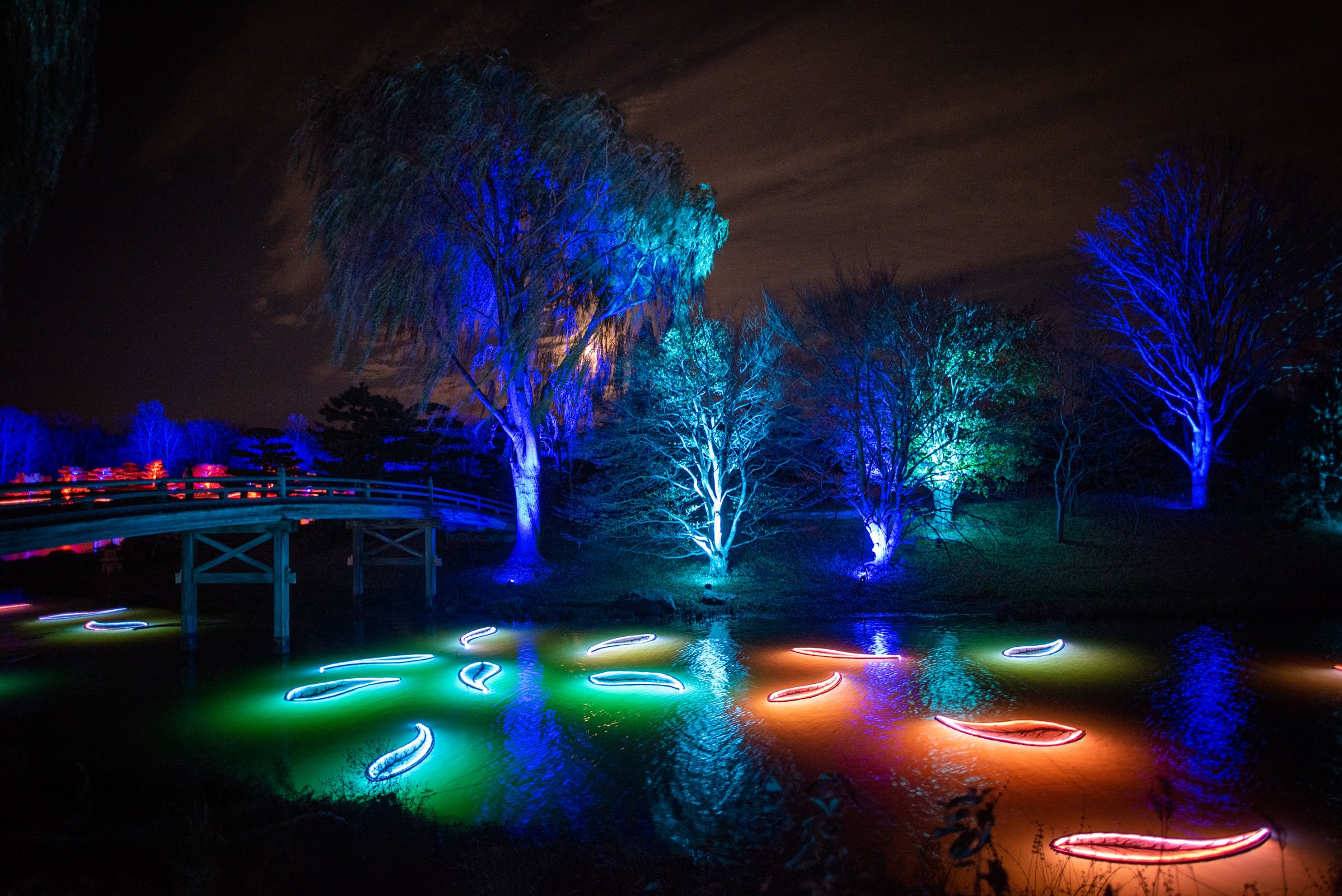 2023 Lightscape Preview - Chicago Botanic Garden